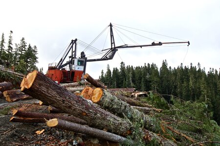 N Scale Logging Equipment... | ModelRailroadForums.com